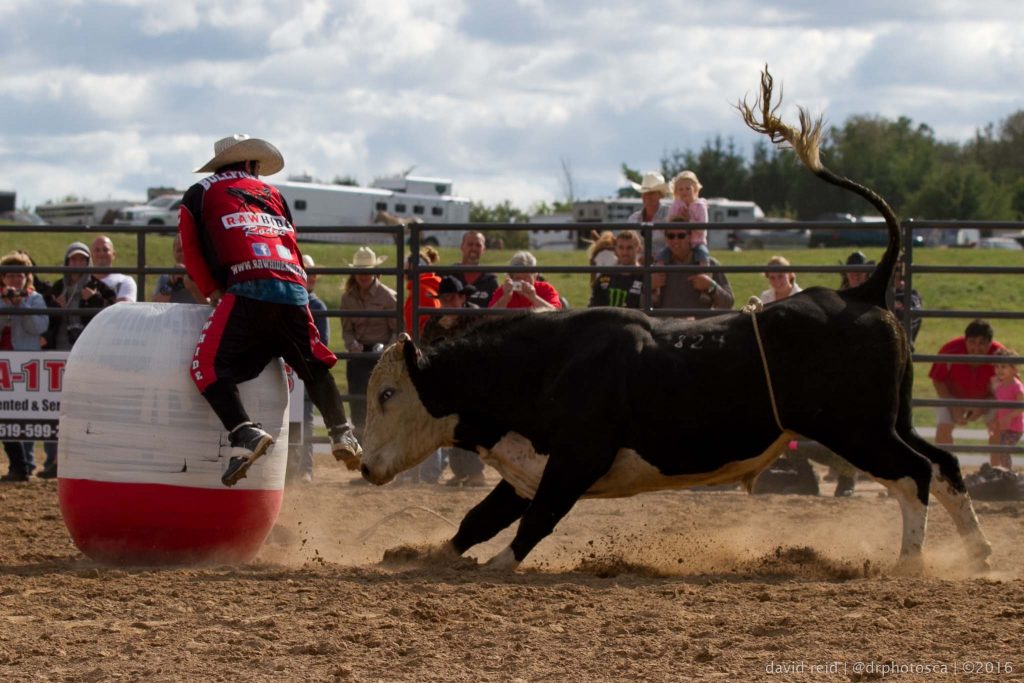 Rawhide Rodeo photos | DR Photos