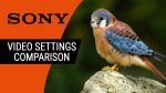 SONY A7 series and A1 video settings comparison chart | DR Photos